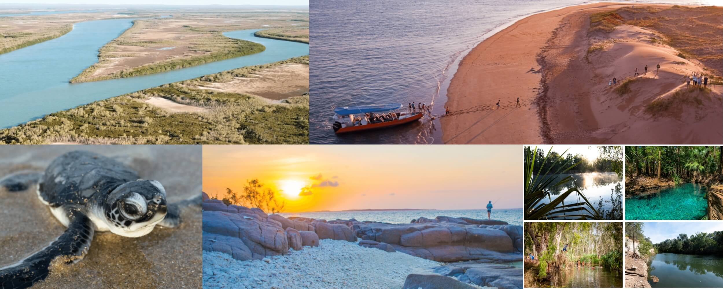 OPEN LETTER: Concerns About the Territory Coordinator Proposal